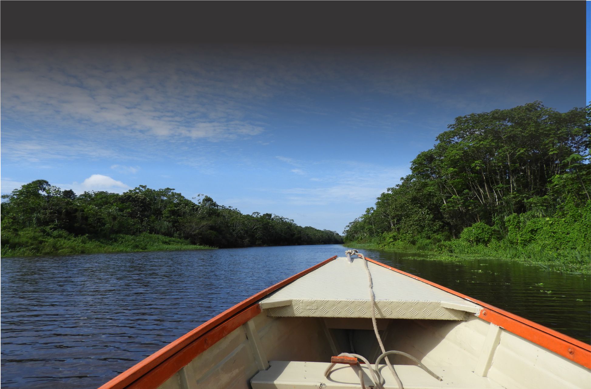 Iquitos Peruvian Amazon jungle is one of most biologicallydiverse areas ...